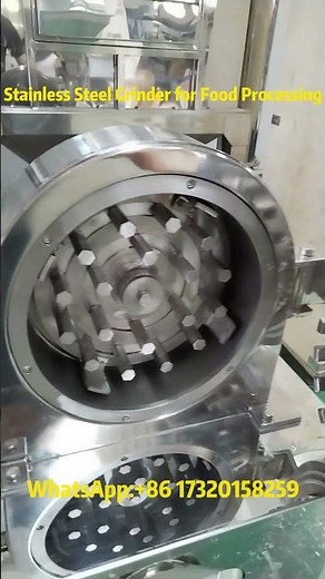Stainless Steel Food Grinder | Efficiency Pulverizer for Food Processing#foodprocessing #grinder