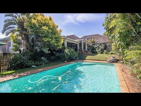 Vincent - ELO-RS01769