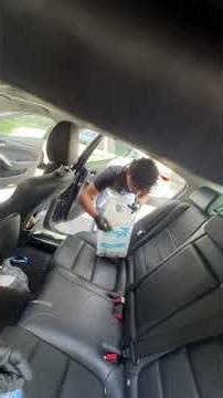 When a detail turns into a pest control job🪳🚗