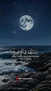 Who is Muhammad ﷺ? | Messenger of Allah | Deen Story Studio