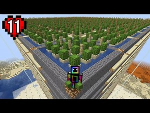 The Biggest Cactus Farm in Minecraft