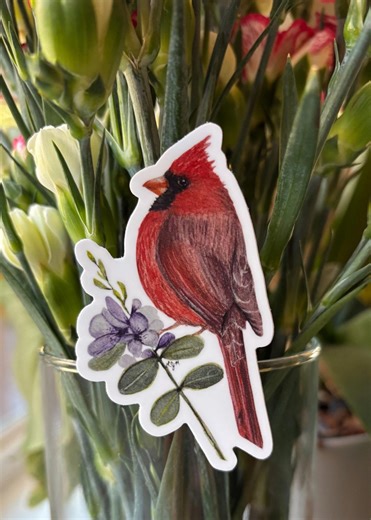 Cardinal Vinyl Sticker – Waterproof, Weatherproof, Dishwasher Safe - Etsy