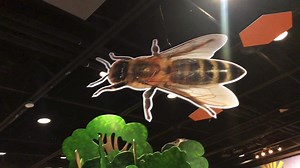 23 reactions · 21 shares | Step into the world of bees in Discover...