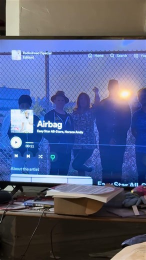 Easy Star All-Stars Radiodread Album