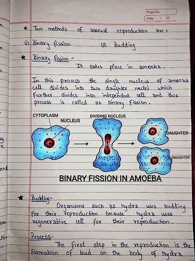 Class 8 Science chapter 9 Reproduction In Animals Question/Answer of full chapter