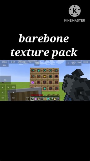 barebone texture pack.