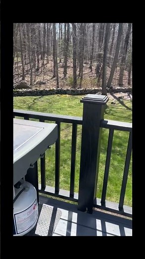 Aztec death whistle #memes ￼