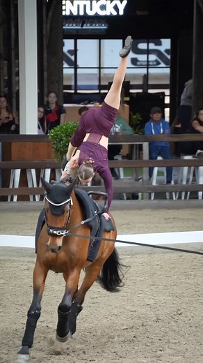 21K views · 5.8K reactions | From moments to memories ✨ Get your Vaulting World Calendar 2026 - the perfect Christmas gift 殺 More information:  on our website: www.vaultingworld.com/vaulting-calendar-2026  Link in bio! Order via email (vaultingcalendar@gmail.com) or send us a message  #vaultingworld #voltigieren #voltigierkalender | Vaulting World | Facebook