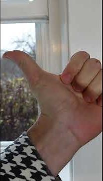 How to Remove a Window Screen