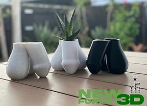 Funny Penis Planter STL File, Digital 3D Print, Naughty Hen Party Gift, Fertility Token, Bachelorette Gag Gift, Adult Decor Download - Etsy