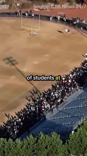 431K views · 38K reactions | Students across North Carolina are coming together to show their support for their immigrant friends and neighbors. This week, thousands of students walked out of class as a response to the ongoing federal take over of their cities that are putting their neighbors at risk! | United We Dream | Facebook