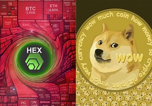 Exclusive: HEX will Reach $1 Much Faster than Dogecoin, Predicts Financial Analyst