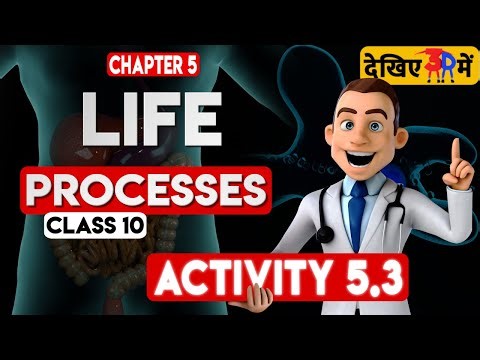 "NCERT Science Class 10: Chapter 5 - Part-3 | Life Processes | Activity 5.3 in 3d |