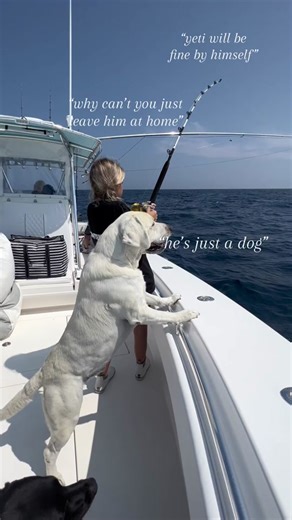 White Labrador Retriever: Fishing Companion & Best Friend