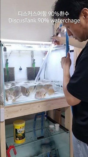 디스커스어항 90%환수 30배속 타임랩스(DiscusTank 90% Waterchange x30 Time Lapse)