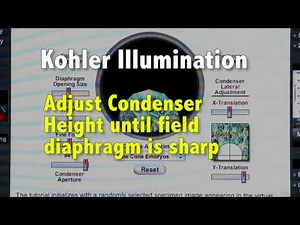 2-4 Kohler Illumination