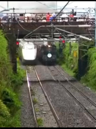 1.7K views | Momen Balapan Kereta Api Uap VS Kereta Api Cepat #keretaapi #reels #fbpro #jangkauanluas #fyp | Rianbadau | Facebook