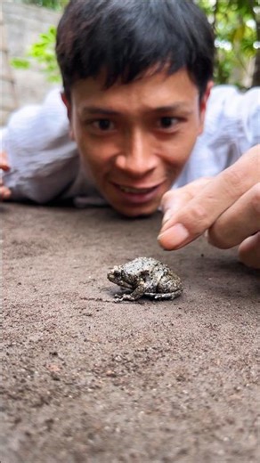 Crafty Tarzan, cute frog and cute millipede #shortvideo