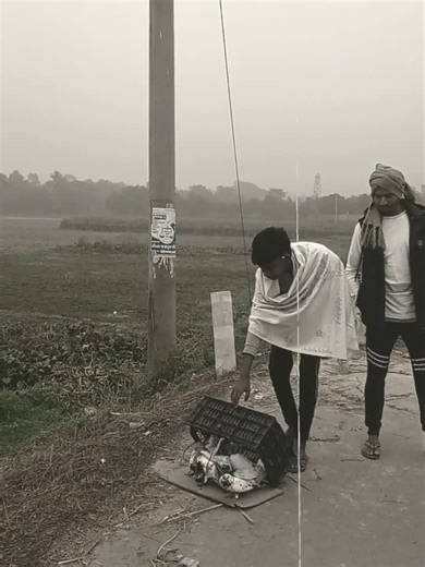 #মাশাআল্লাহ #SIAM_PIGEON_LOFT #KABOOTOR #KABOOTOR_LOFT #siam_in_vlog_03