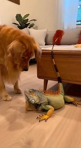 Problem solved together | Outfit Anatomy