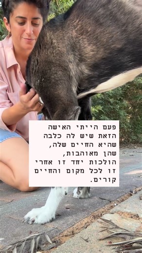 ‎נועה מאירוביץ | אילוף כלבים למשפחות ונשים I כלבנות טיפולית‎ on Instagram‎: "פעם הייתי האישה הזאת שיש לה כלבה שהיא החיים שלה, שהן מאוהבות, הולכות יחד זו אחרי זו לכל מקום והחיים קורים. ועכשיו אני האישה הזאת שמבינה שהכלבה הזאת עזרה לה להישאר קרובה לעצמה כל השנים גם כשעשתה הכל כדי להתרחק. שיקפה לה את כל הדפוסים המחשבתיים, הלופים הרגשיים והסיפורים שהיא סיפרה לעצמה על עצמה ועל החיים. היא נתנה לה הזדמנות לבטא רגשות שדחסה עם השנים ונמנעה מלהרגיש הכינה אותה לאמא שהיא היום עבור הילדים שלה ובזכות הקשר הזה
