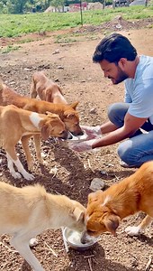 1.3M views · 130K reactions | This Inspiring Event is sponsored by our Well Wisher and a Pet Lover (she doesn't want to reveal her name) she sponsored this event to feed Hungry Stray Dogs on occasion of JYOTI KEWLANI's 50 th Birthday Today. Dear Jyoti Ji, Very Happy Birthday to You. We dedicate all the blessings received in this event to Jyoti ji. GOD Bless her with loads of Happiness and Long Life. | Serve Needy | Facebook