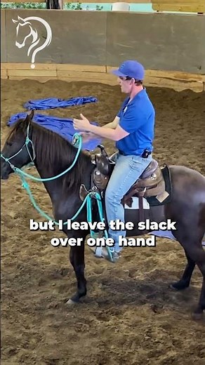 Speed Transitions On Your Gaited Horse! Part 5! | The Horse Guru-Michael Gascon