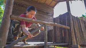 23K views · 1.1K reactions | Girl Living Off Grid Build Plastic Wrap Shelter, Log Cabin, Kitchen, Well for Clean Water Full-Video | Jungle Survival | Facebook