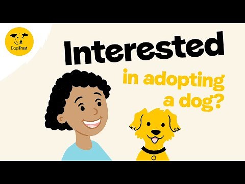 Thinking of adopting a dog? | Dogs Trust