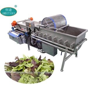 [Hot Item] Automatic Vegetable Fruit Processing Line Fruit Vegetable Processing Machines