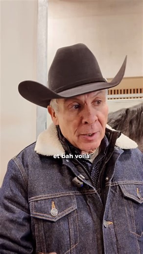 Héritage Équestre on Instagram: "Le Quarter Horse, c’est 180 ans de sélection pour créer un cheval puissant, rapide et incroyablement polyvalent. Mélange de pur-sang arabe pour l’explosivité, d’andalou espagnol pour le travail du bétail, et environ 6% de cheval de trait pour le calme : un équilibre parfait. Il peut partir plus vite qu’un cheval de course, rattraper un bovin, le faire pivoter, puis repartir dans l’autre sens grâce à sa propulsion phénoménale. Aujourd’hui, il domine le western ave