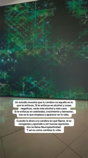 Fuente: Neurociencia — Sistema de Activación Reticular (RAS) y Neuroplasticidad. Stanford University · Norman Doidge. | Dan White Mentor de Sobriedad