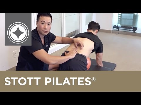 Exercise of the Month | STOTT PILATES® Rehab: Multifidus Targeter Exercise