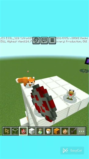 🦊 Fox IQ Test in Minecraft | Smartest Move Ever? 🤯 | #Minecraft#MinecraftShorts#MinecraftFox#FoxIQ