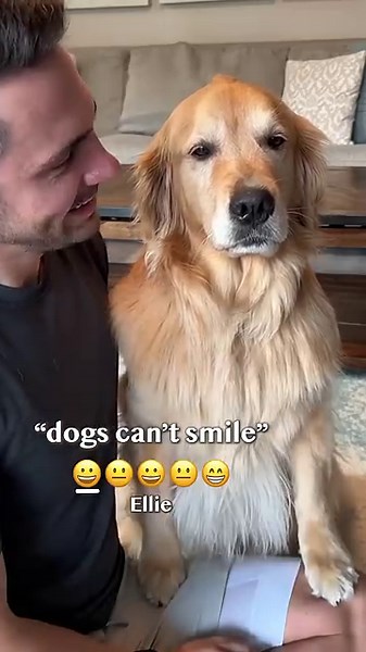 Dogs can smile! Here’s the proof