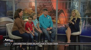 K9 DIRECTION: THERAPY DOGS