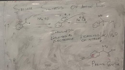 Strecker Synthesis of Amino AcidThe image shows the Strecker ... | Filo