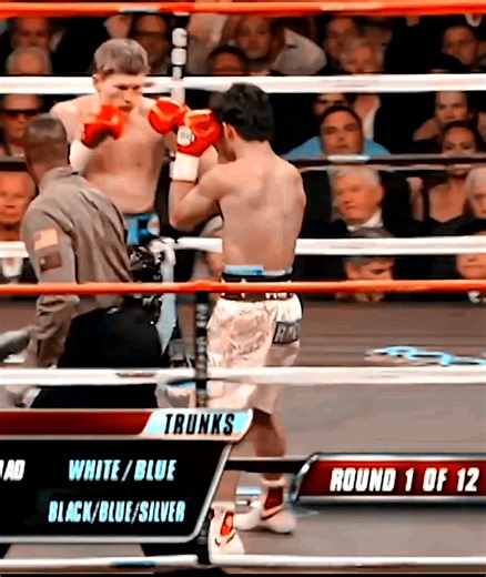 Highlights #boxing #action #combat #sports #fight | BJasper Cook