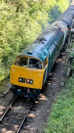 D1015 Western Champion Top+Tail With D821 Greyhound at Sun Lane