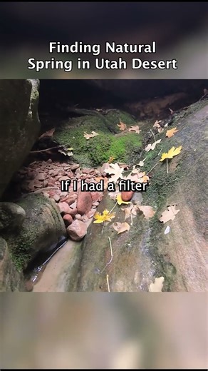 Finding spring in Utah Desert