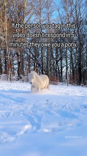 We don’t make the rules.. 🤷🏼‍♀️ Just tag them! 😂👇🏻 #superponyAlvin #clickertraining #shetlandpony #minishetland #minihorse #snow #sweden #winter #9gag #pubityreels #thedodo #rearinghorse #tricktraining #pony #horsesofinstagram #poniesofinstagram #reels #positivereinforcementtraining #forcefreetraining | playlovelearn.se