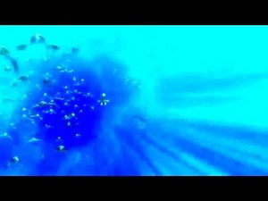 Finding Nemo - Dubbing Practice