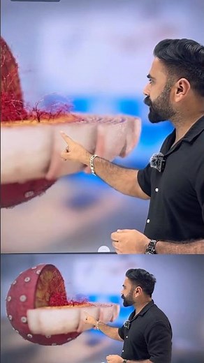 Exploring the Key Components of the Cell Nucleus! Fundamental Units of Life | Class 9th Science