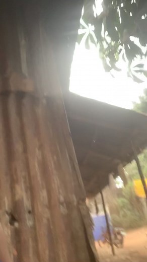 Do this to free your phone 📱 | Asa Mbaise