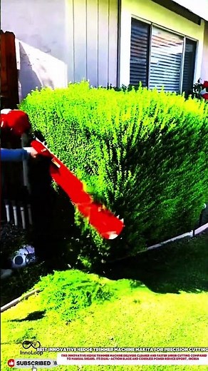 Best Innovative Hedge Trimmer Machine Makita for Precision Cutting #innovative #machine
