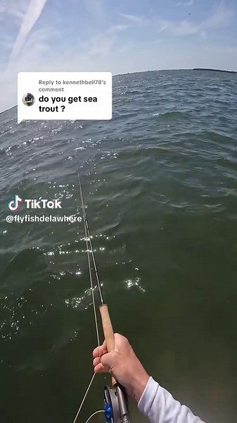 Expert Tips for Sea Trout Fishing This Season