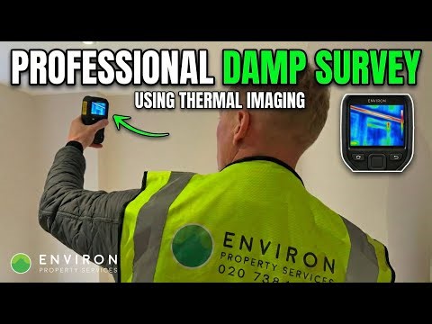 Damp Survey Results: Rising Damp Identified Using Thermal Imaging | Environ Property Services