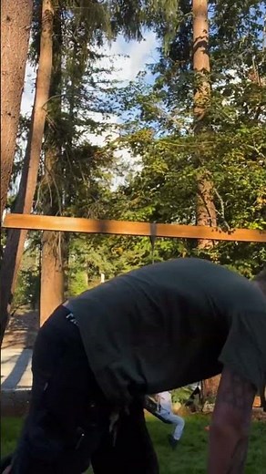 How to build a swing between two trees. #shorts