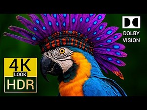 Relaxing Nature Video (4K Look) | Calm Music & Beautiful Nature | HD Video Ultra