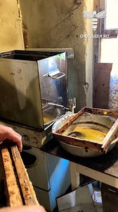 200K views · 975 reactions | Although wax processing techniques differ from one beekeeper to another, and even if some techniques are better than others, in the end, all that matters is to recycle and stockpile it For full videos, check these channels: @thebeekeepers7170 - YouTube @jemafbg - YouTube | OneQueen.ro | Facebook